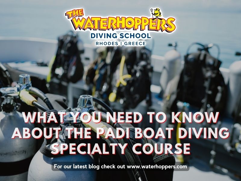What you need to know about the PADI Boat Diving Specialty course ...